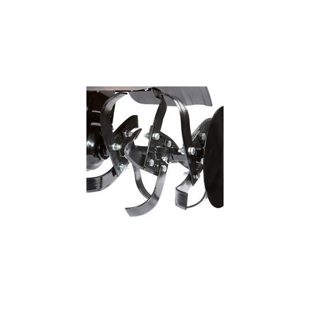 MOTOAZADA BERTOLINI 205S